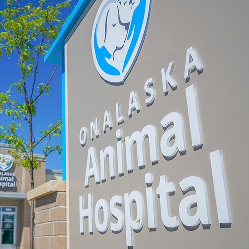 Our Facility I Onalaska Animal Hospital