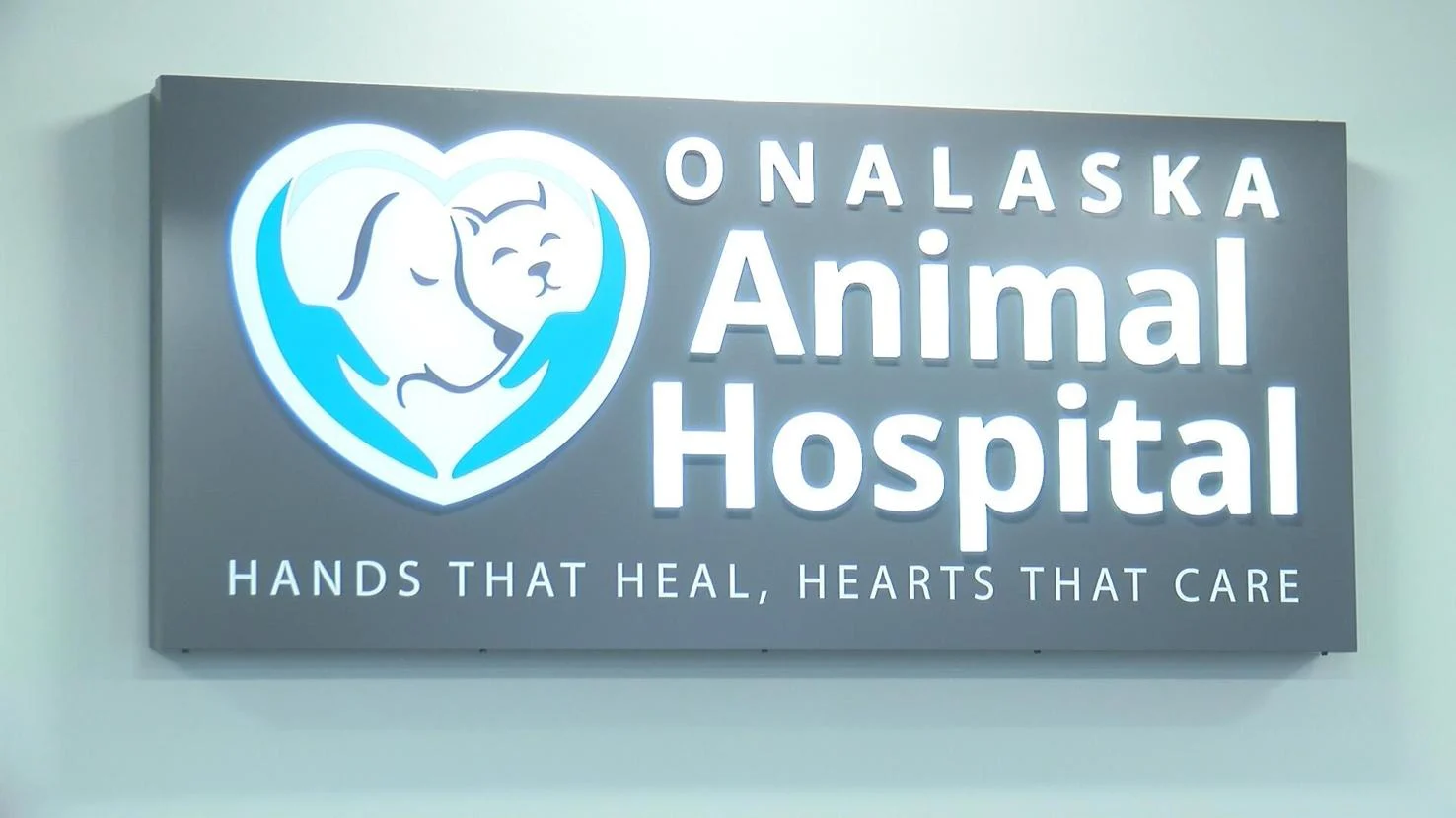 Newest vet clinic reflects on first year of business I Onalaska Animal ...