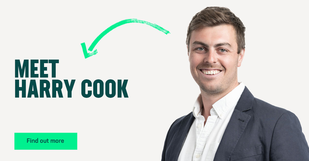 Harry Cook – Mergers & Acquisitions Advisor at Shaw & Co