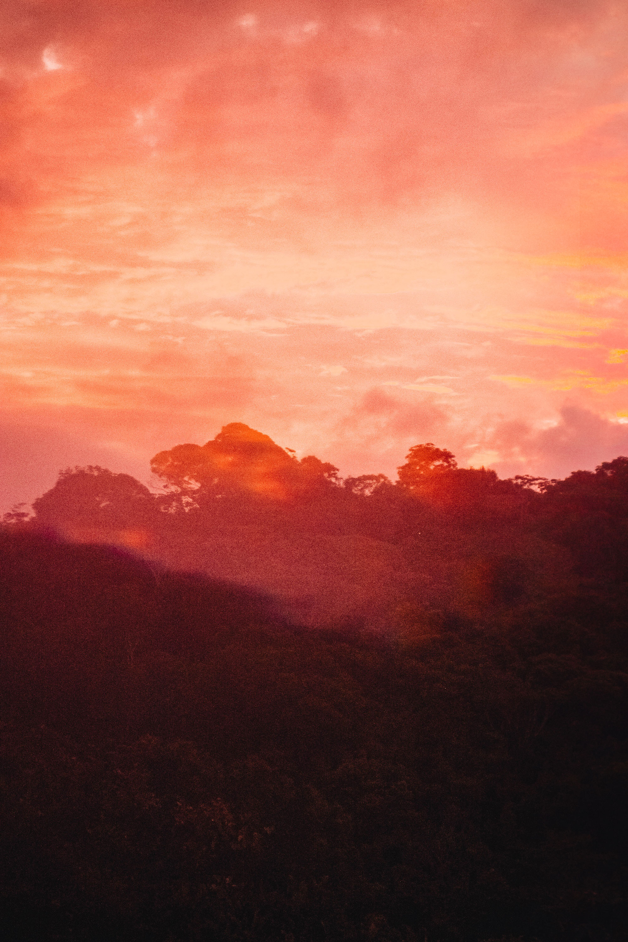 Biographie de Elsa Leydier | Studio Artera