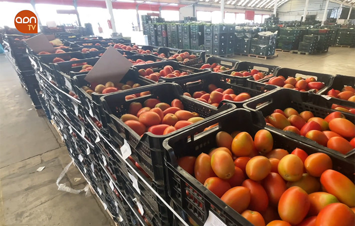 La comercialización del tomate mejora esta campaña un 4% – ADNTV
