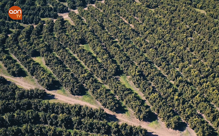 El IMIDA obtiene más de 1,1 millones para proyectos I+D+i del sector ...