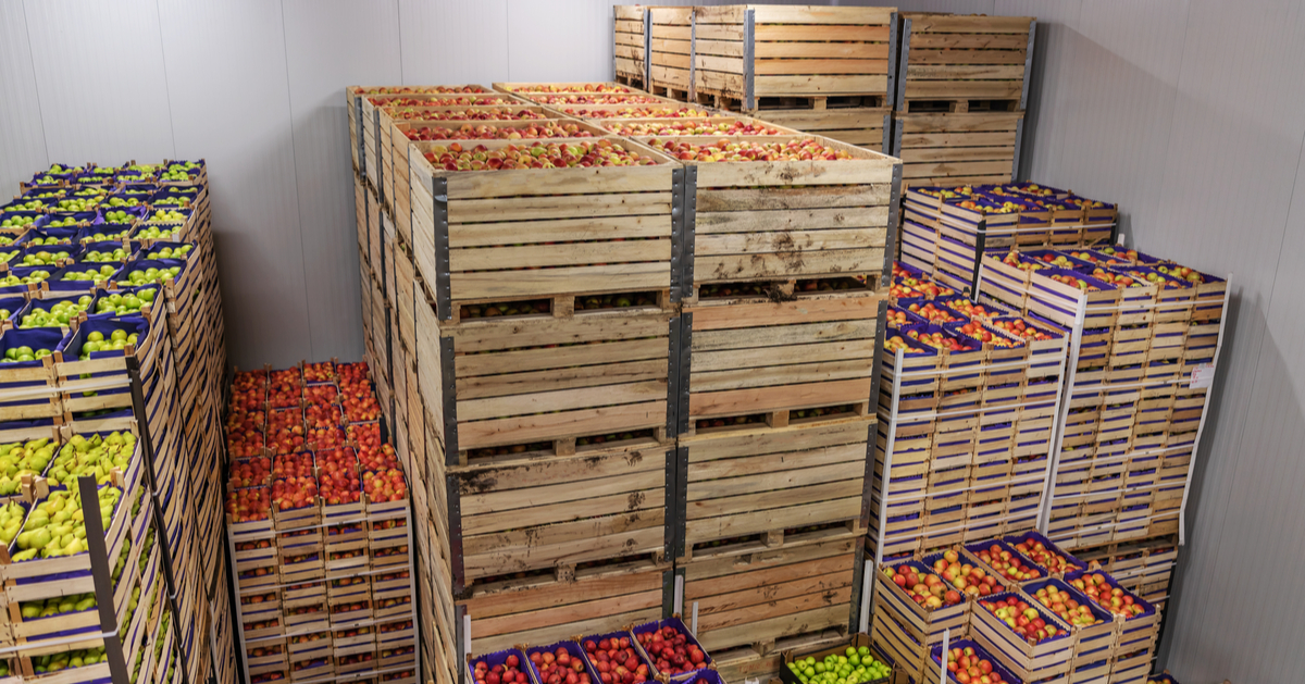 Produce Shipping Season Tips for Success in Spring 2022