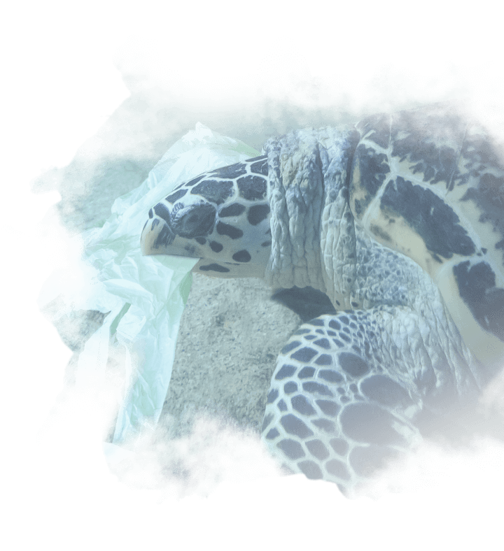 Our Mission | OceanHero