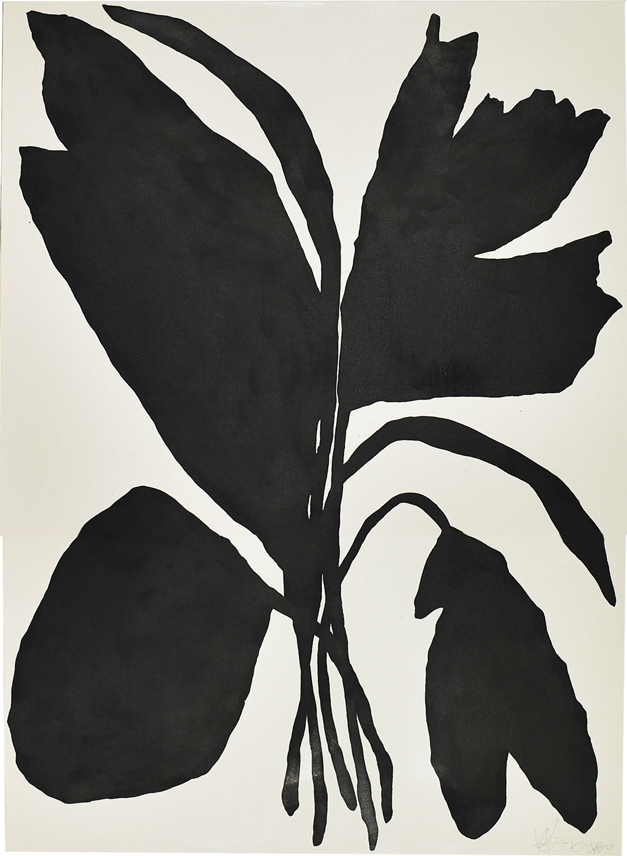 Archive — Kate Roebuck Studio