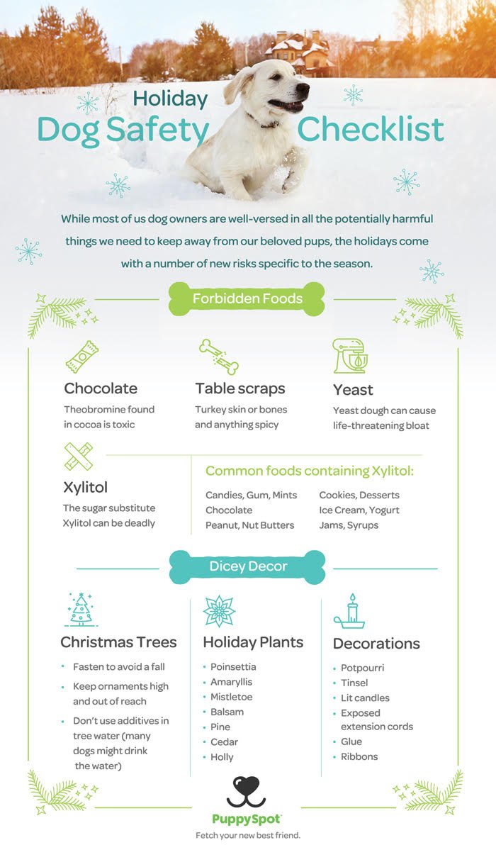 Dog Safety Checklist for the Holidays [Infographic]
