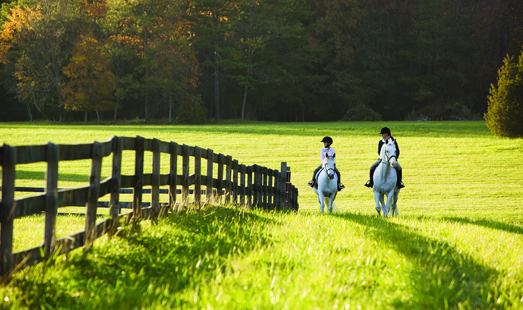 First Team’s Mersedeh Khodayar Represents Ecstatic Buyer of Nellie Gail ...