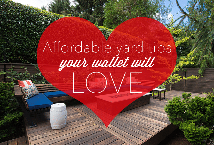 4 Ways to Give Your Yard More Love, At A Great Price