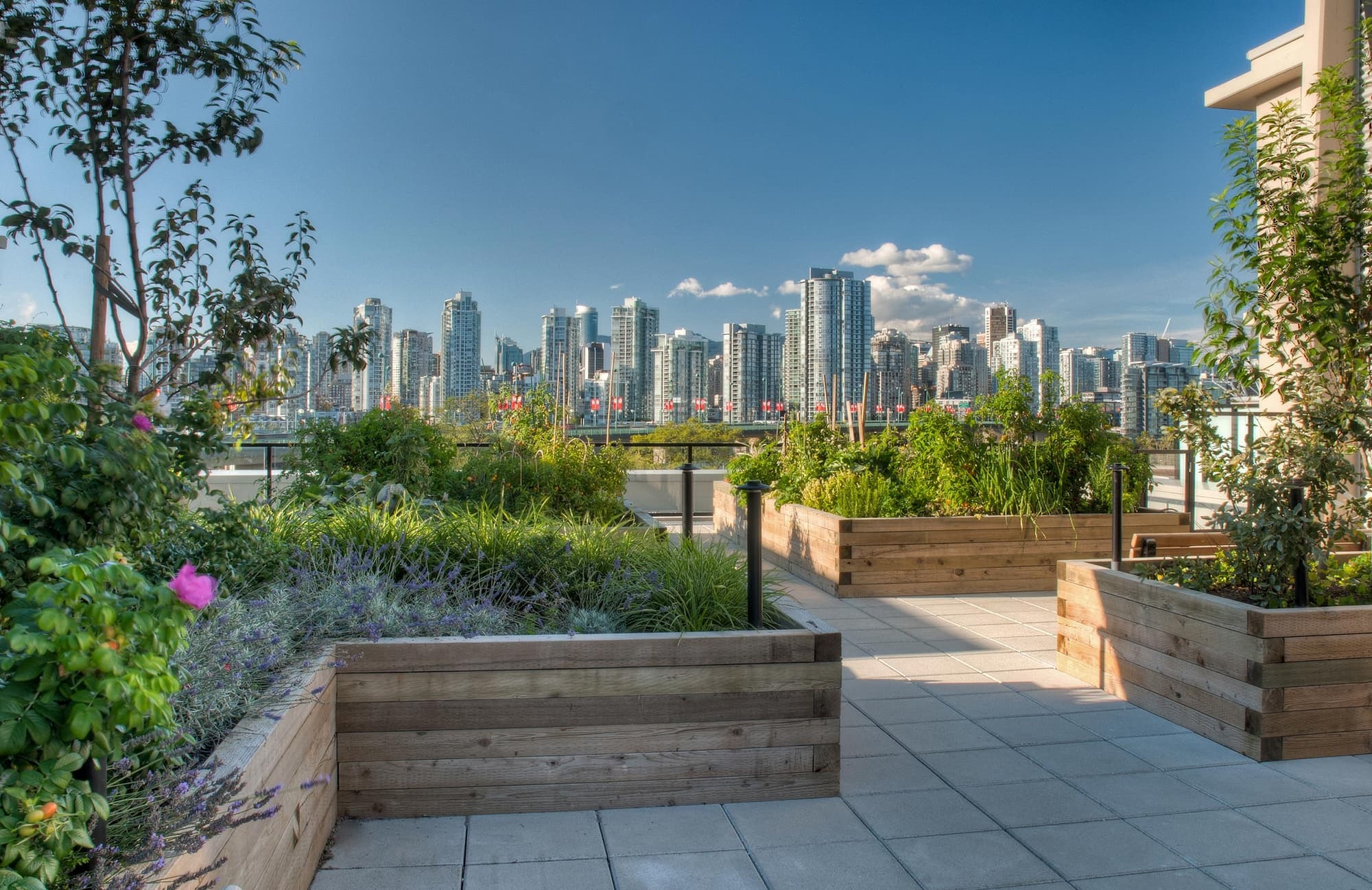 The Exchange Building — Houston Landscapes