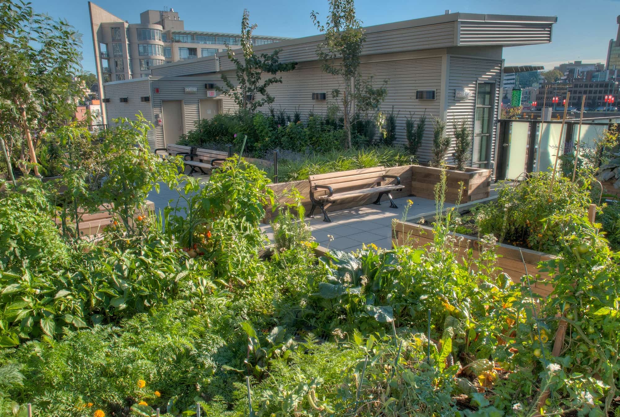 The Exchange Building — Houston Landscapes