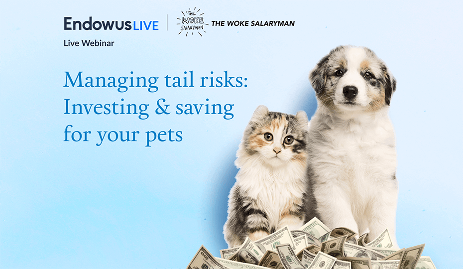 Planning your finances around pet ownership