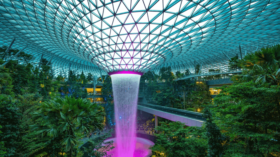 A comprehensive guide to CPF for newly approved Permanent Residents