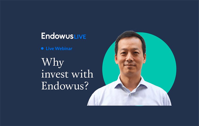 Learn in detail about the Endowus Income Portfolios