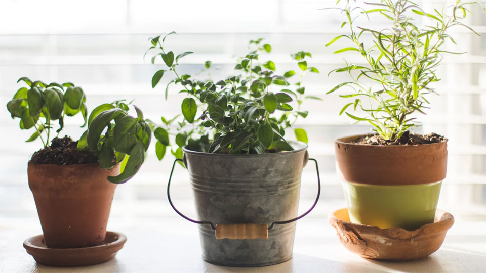 Retiring with a bucketing strategy