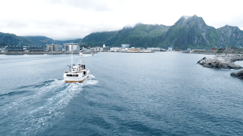 Norsk Hval - Fakta om norsk hvalfangst