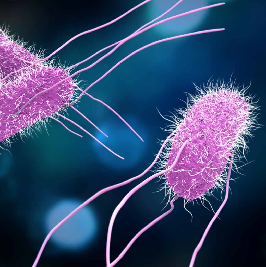 Our Program - Australian Pathogen Genomics Program