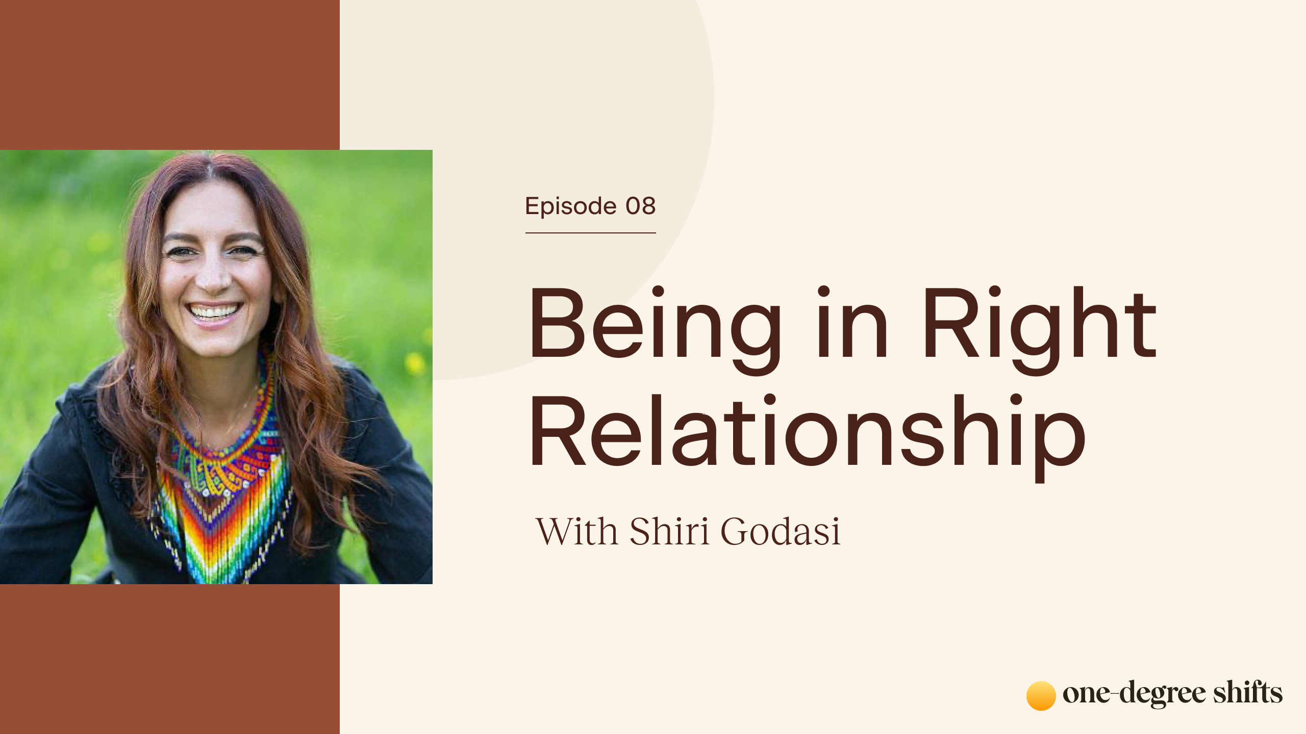 Psychedelic Support Guide - Shiri Godasi