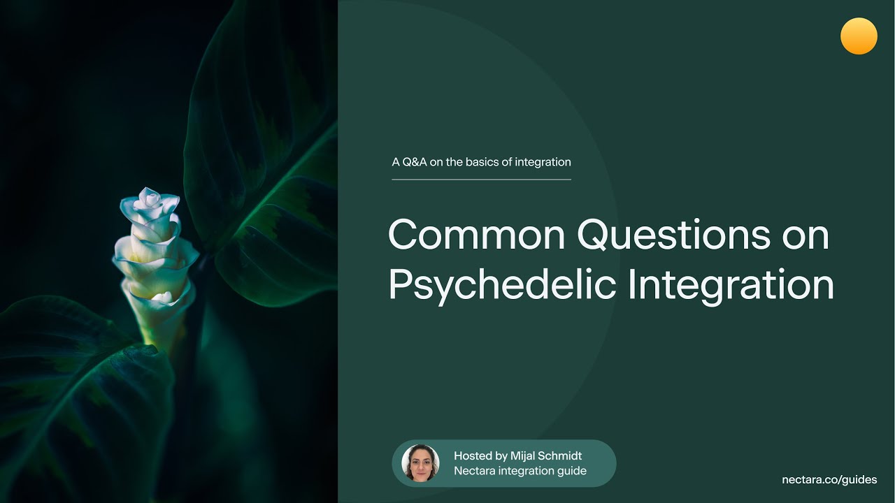 Psychedelic Integration Support - Nectara