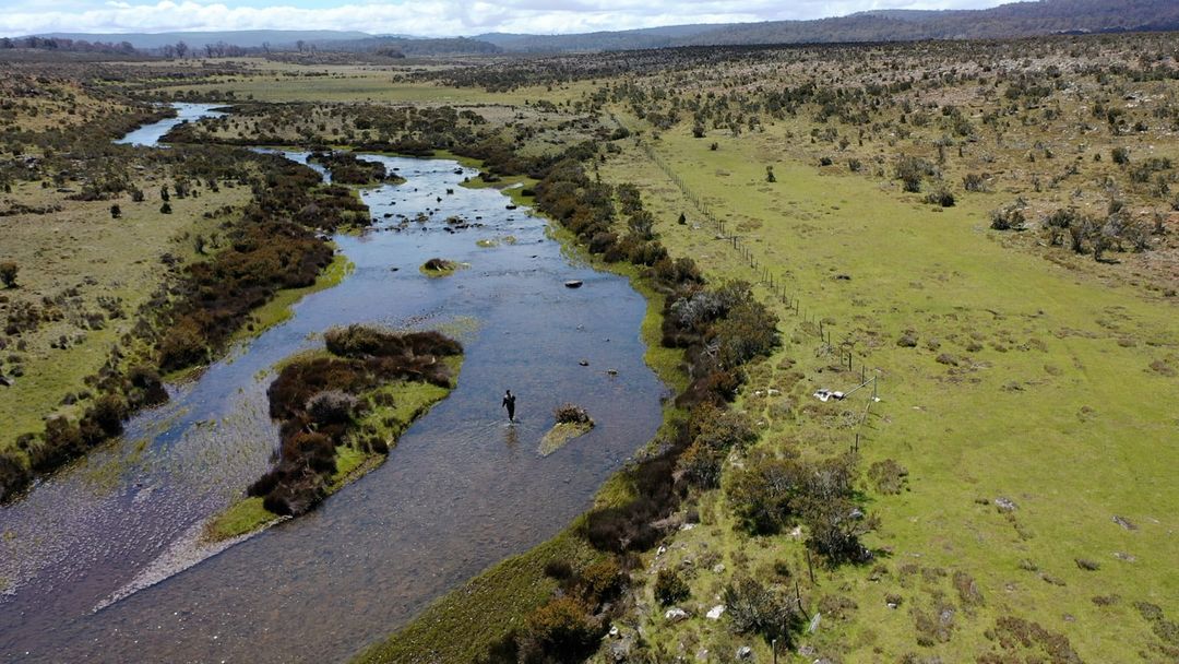 River Fly Fishing in Tasmania – Adapting your technique to suit ...