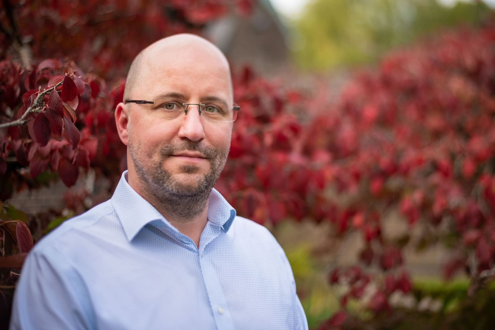 ieso Group | Careers