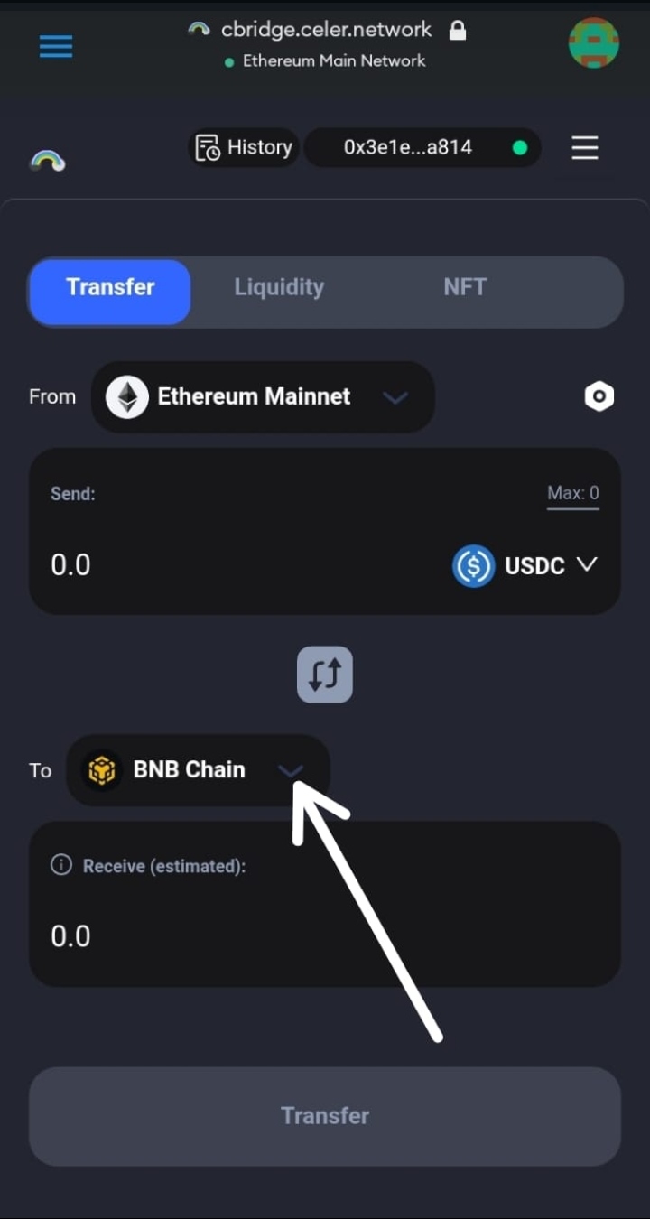 HOW TO USE THE CELER CBRIDGE