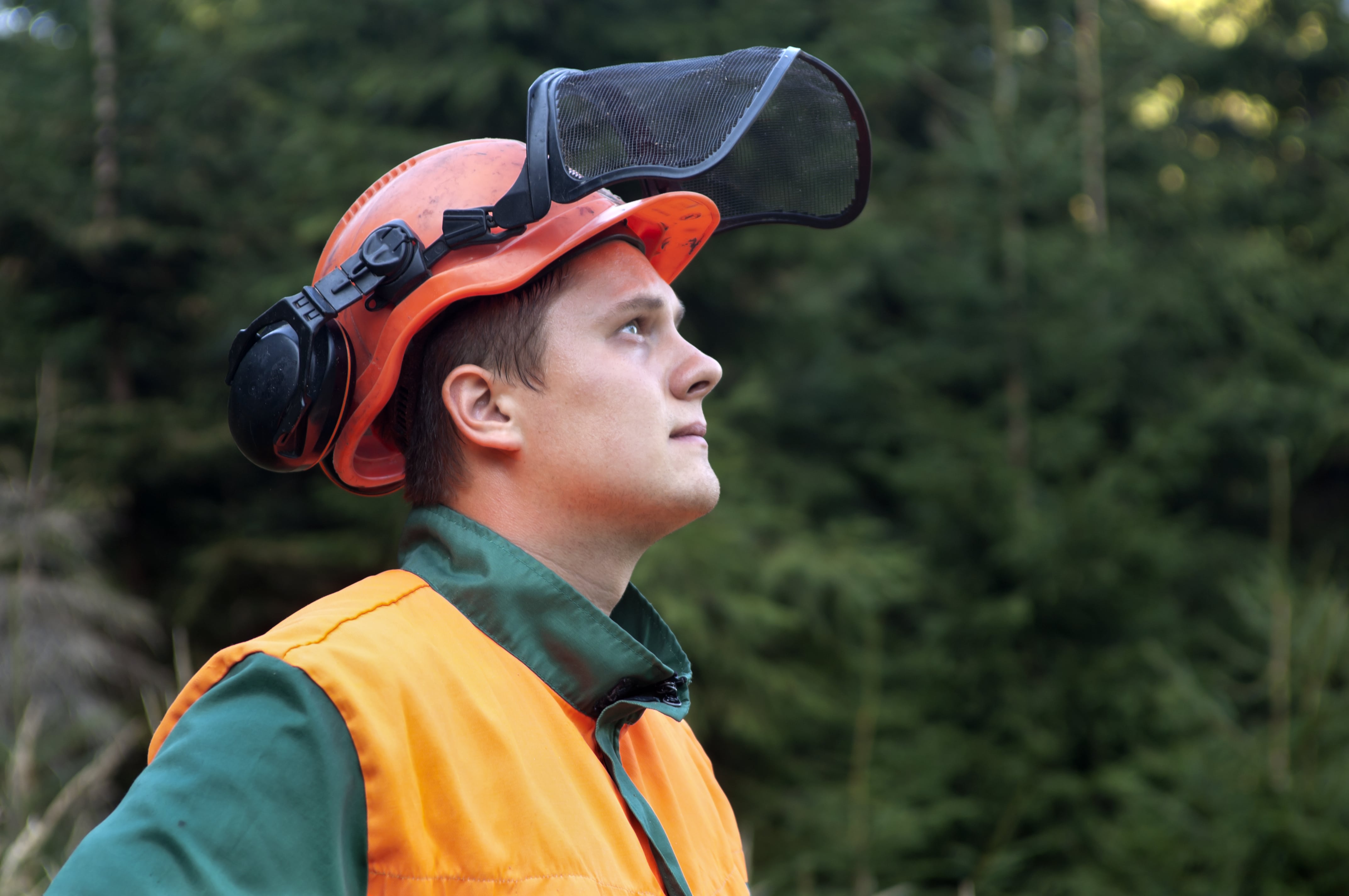 FPAC supports measures to support the Canadian forestry industry
