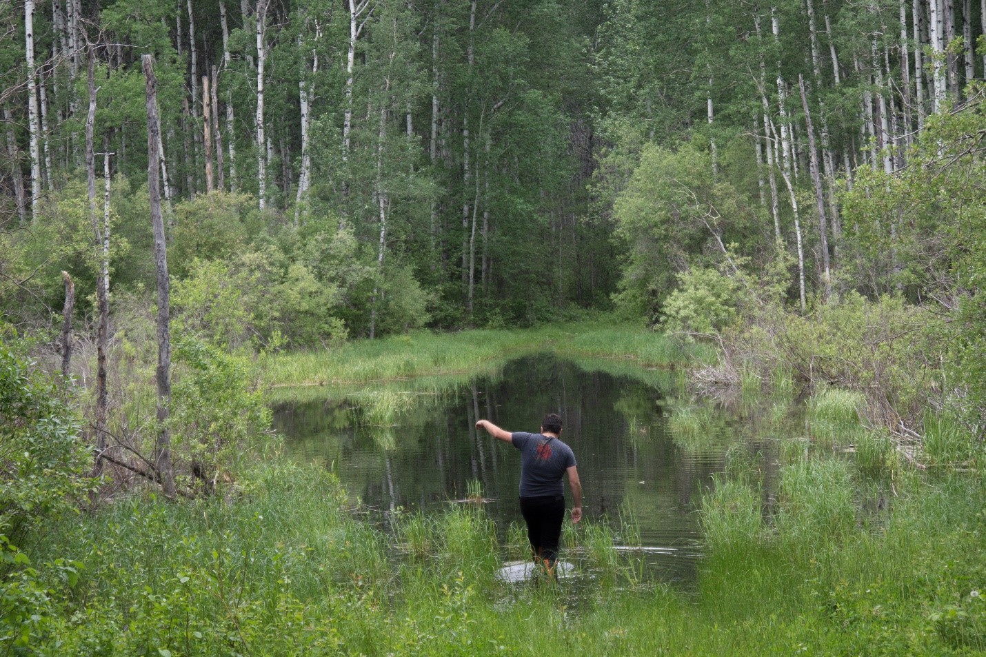 Andy Goodson : Souvenirs de mon été en foresterie : Ce que nous avons fait et où nous sommes ...