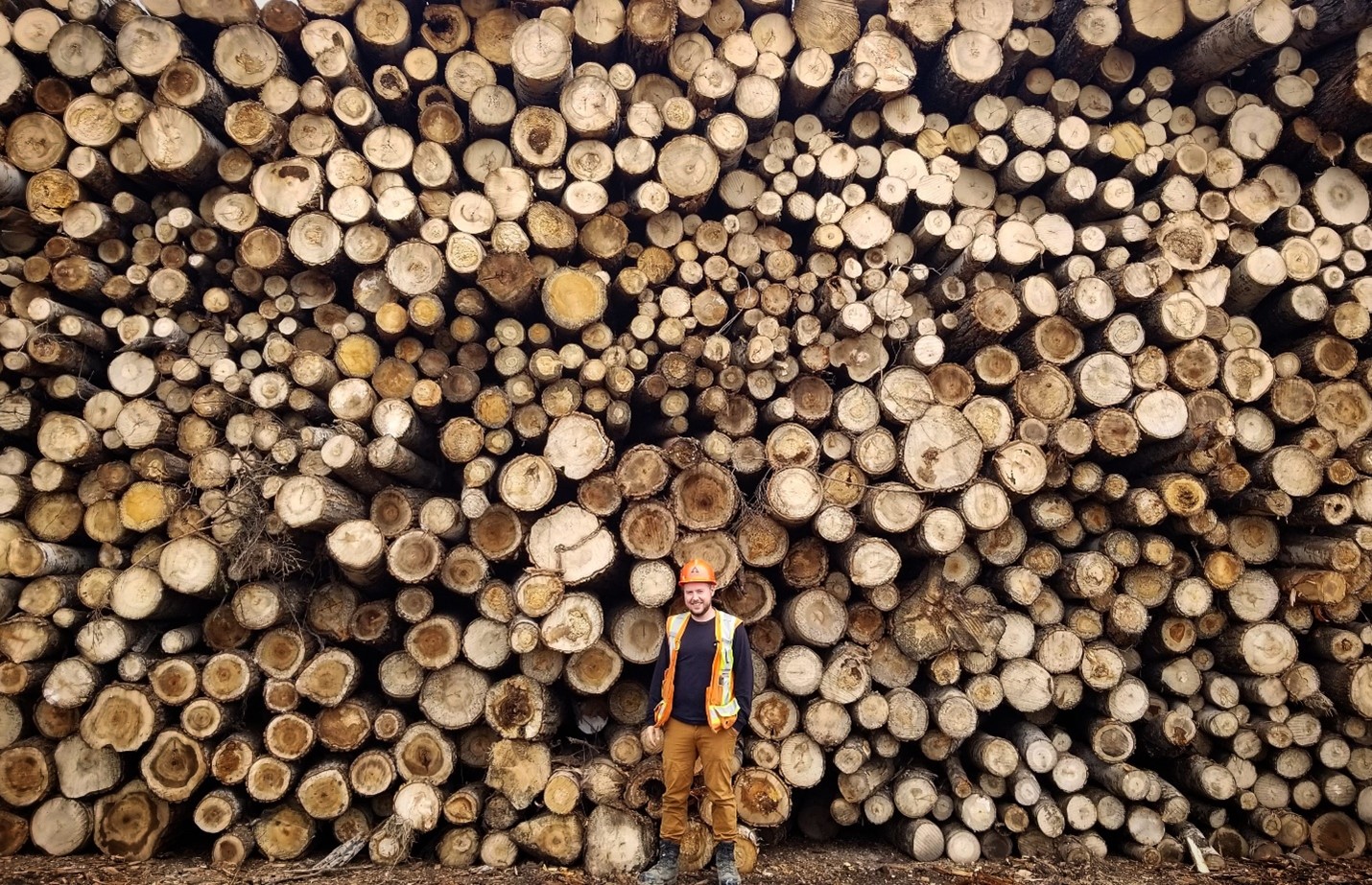 Andy Goodson : Souvenirs de mon été en foresterie : Ce que nous avons ...