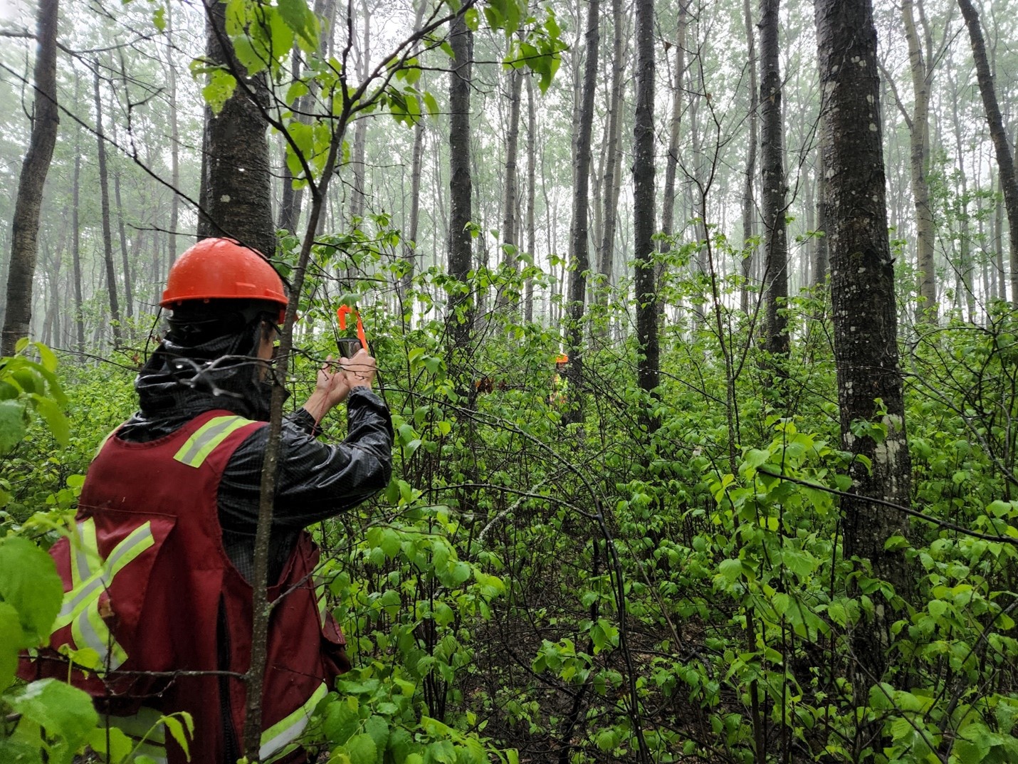 Andy Goodson: The Wins and Woes of Flagging Road: FPAC 2022 Green Dream ...