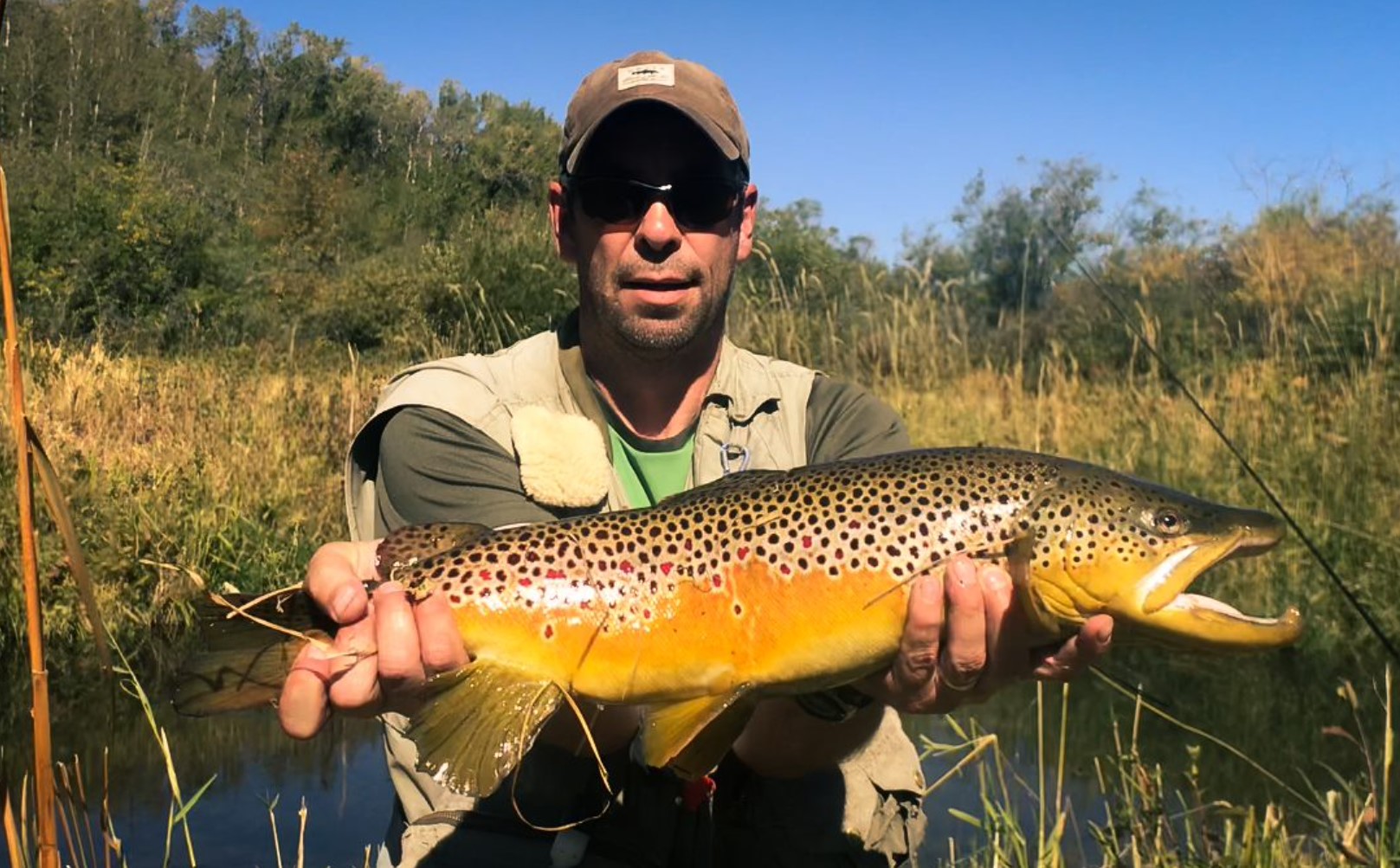 Andy Goodson : Entretien avec un forestier : Rod Pshebnicki : Programme ...