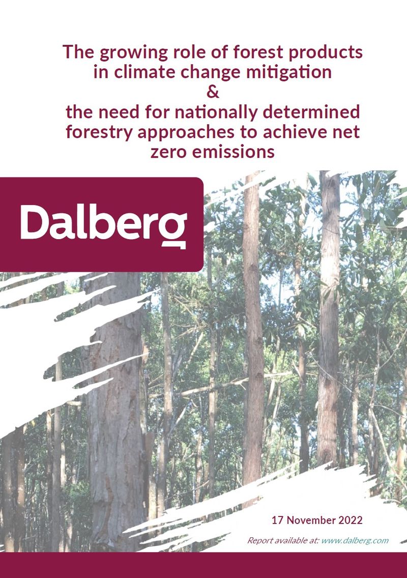 How Canada's Forest Sector Can Support Wildfire Resilience