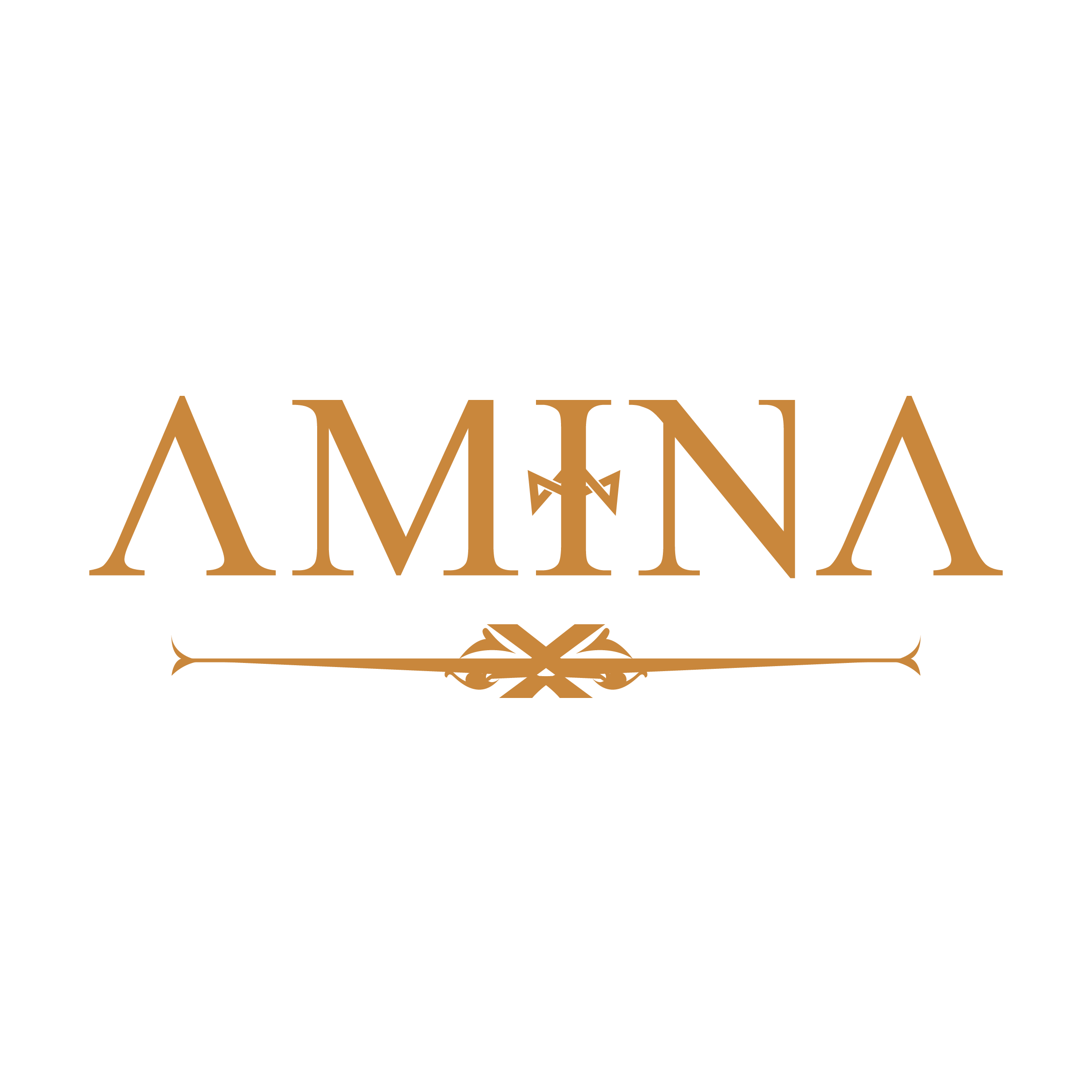 Welcome to AMINA Philly