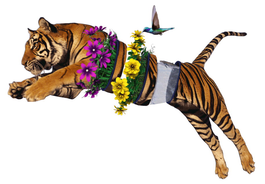 Athyna - Global Talent