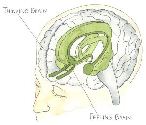 Ultimate Parent Hack: Teach Kids to Use Their “Thinking Brain” | Defend ...