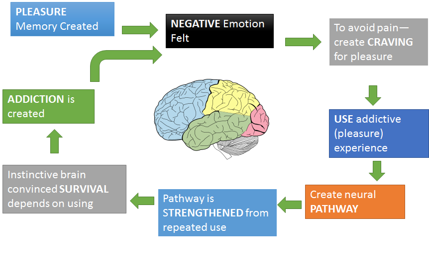 How to Create a Porn Addiction in 7 Easy Steps | Defend Young Minds™️