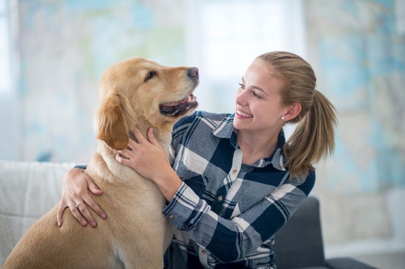 Top 8 Types of Emotional Support Animals | Pettable