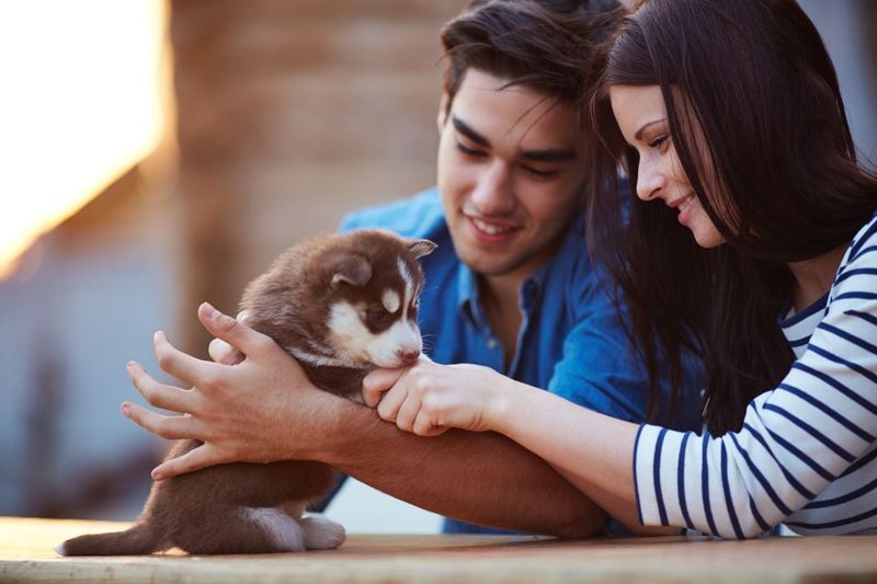 Pettable ESA Letters - Frequently Asked Questions