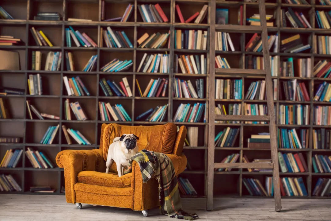 Can a Therapist Write an ESA Letter? | Pettable