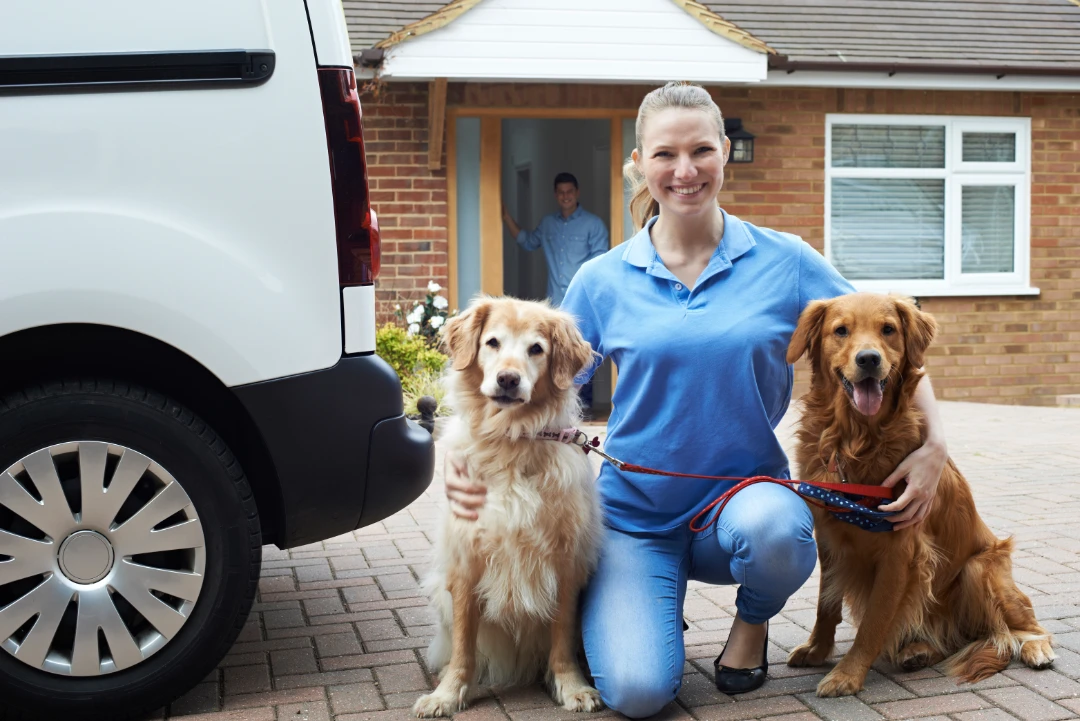 Training a Psychiatric Service Dog: A Complete Guide