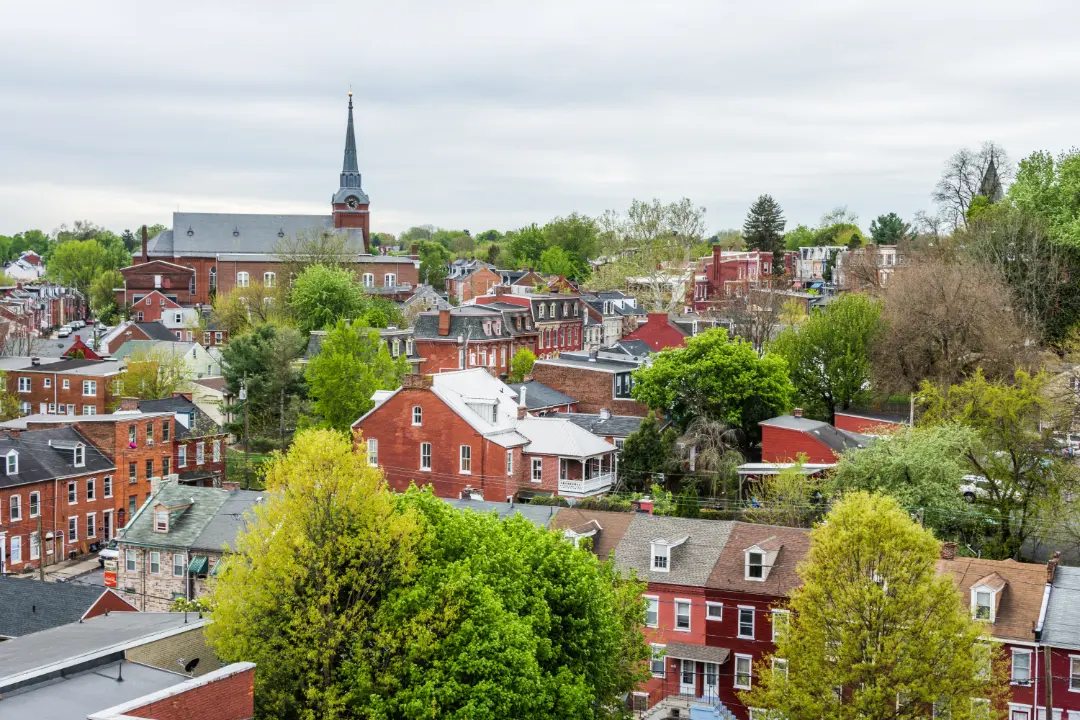Pennsylvania Emotional Support Animal (ESA) Laws — 2024