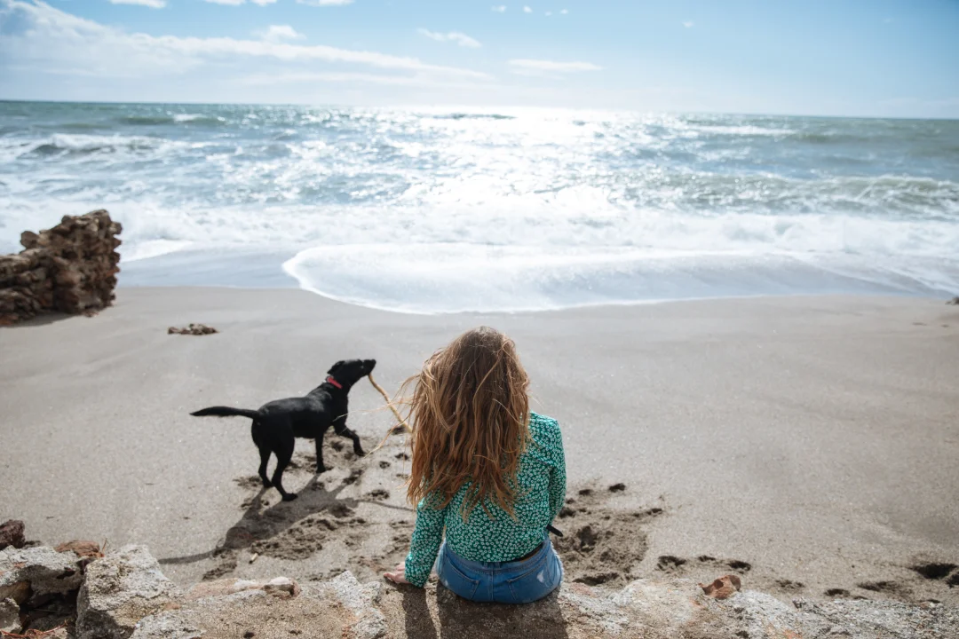 How to Get a Service Dog in California