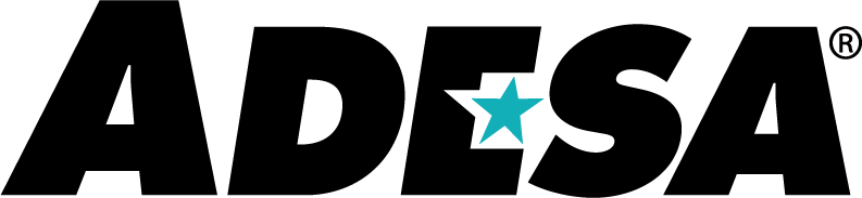 Used EV Reports & Battery Health for Car Dealerships