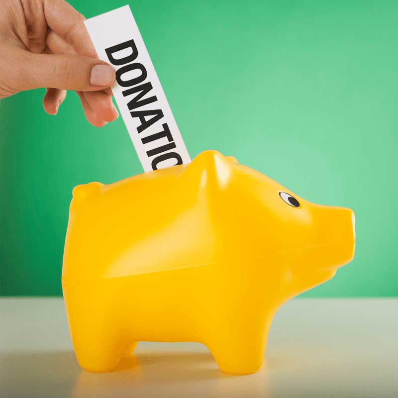 3 Examples of Excellent Nonprofit Monthly Giving Programs