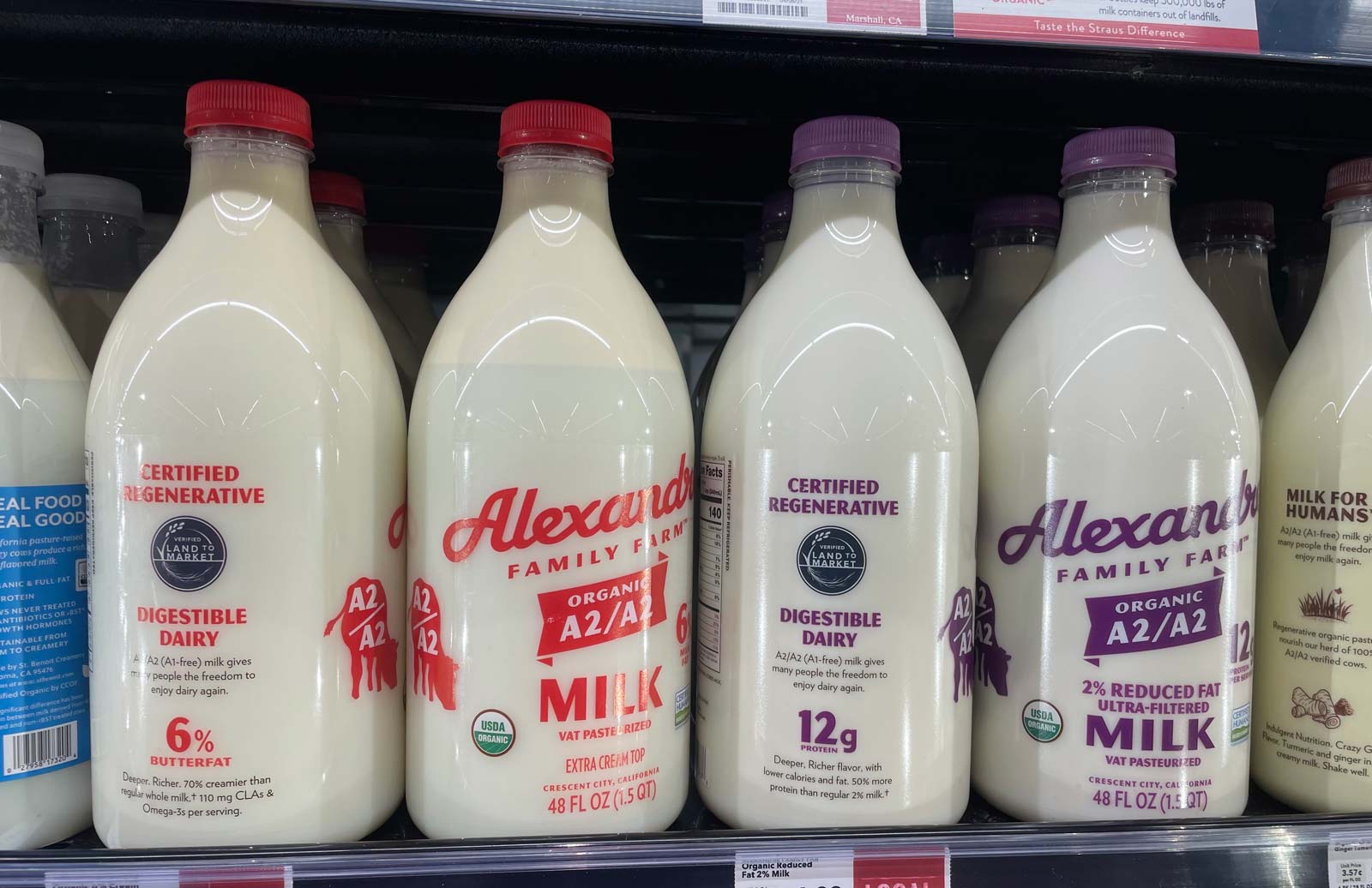 Marketing & Communications