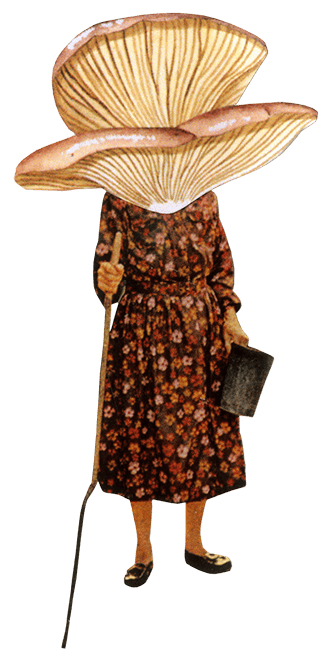 Personal Plants | Developing mindful relationships with psychoactive plants