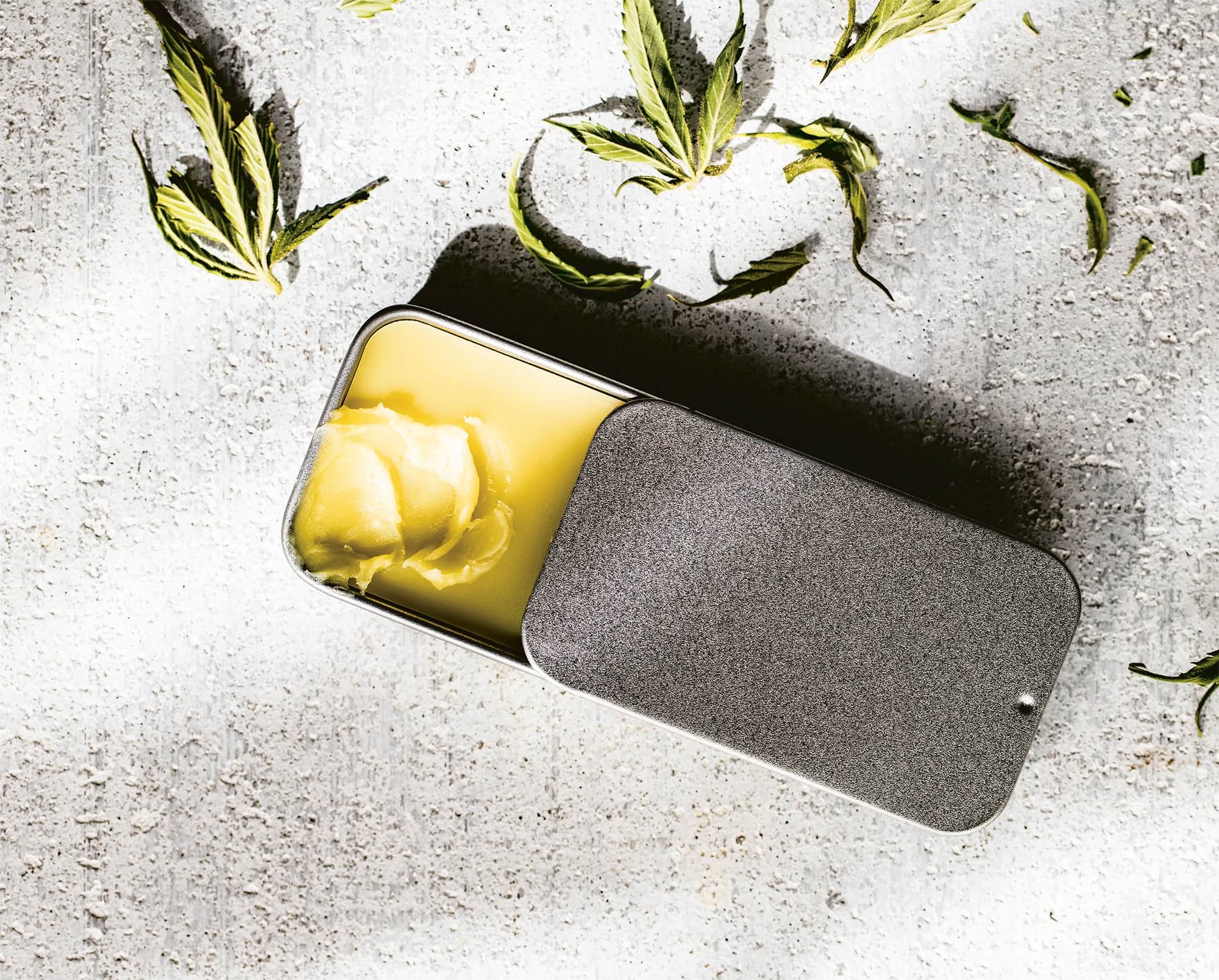 Personal Plants | Developing mindful relationships with psychoactive plants