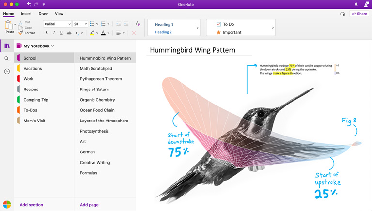 Gebruik van OneNote met voorbeelden uit de praktijk