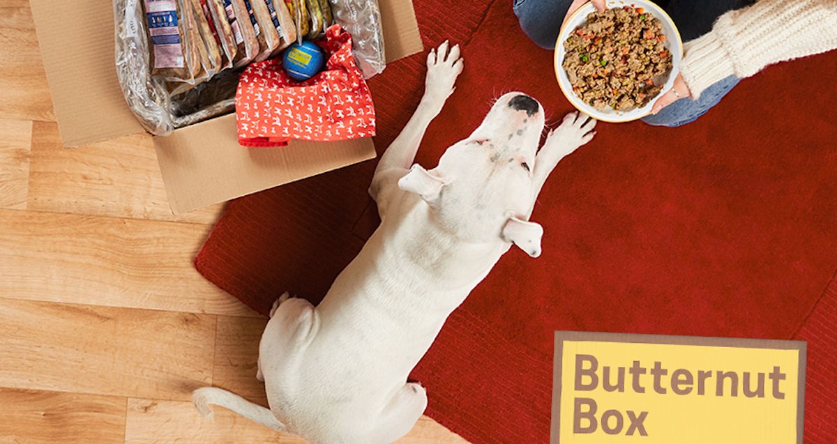 Butternut Box - Pet Ecommerce Marketing Strategy Example.