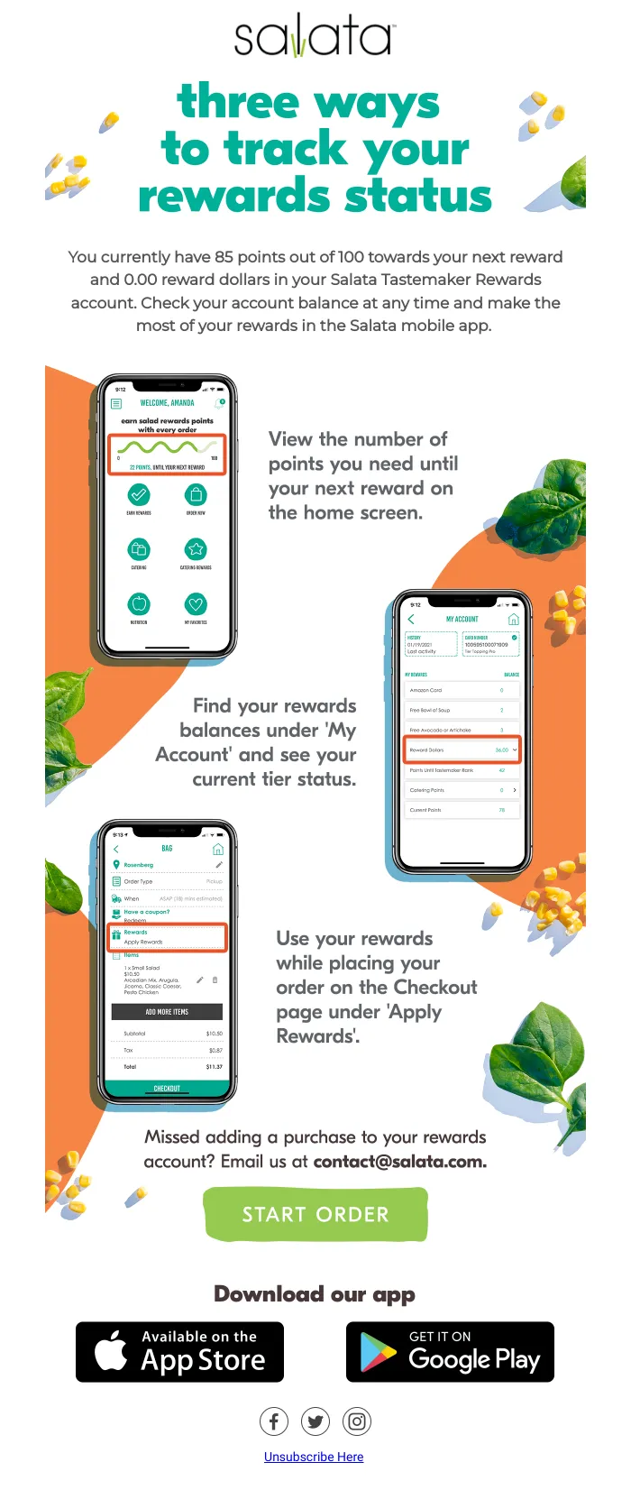Loyalty Program Status - Email Marketing Examples for eCommerce