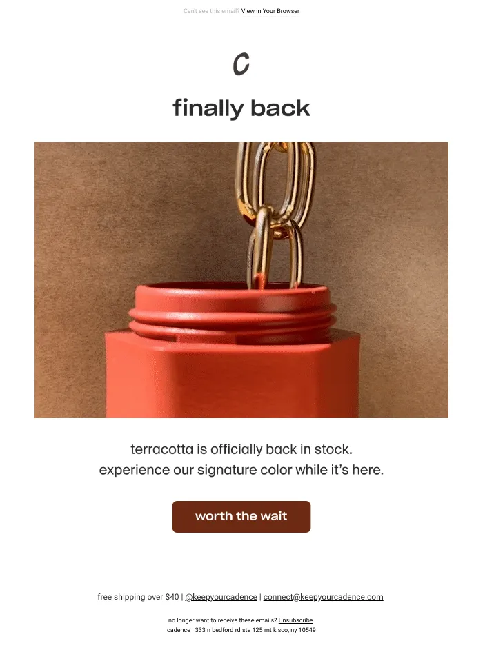 Back in Stock - Email Marketing Examples for eCommerce